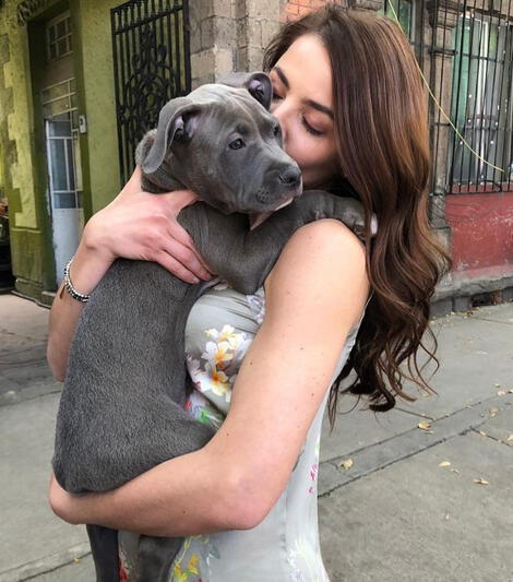 Hasta que la plata nos separe en Netflix: curiosidades que no sabías de ...