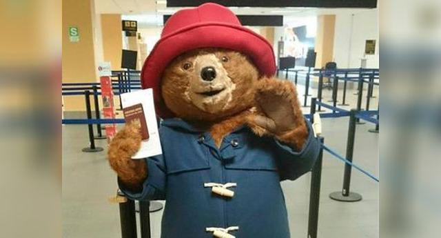 Osito Paddington llegó a Perú para conocer su tierra natal