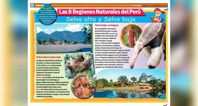 Las 8 regiones naturales del Perú: Selva alta y Selva baja | El Popular