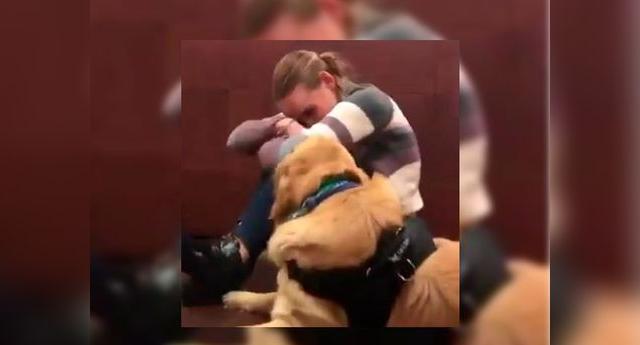 Facebook | Mujer 'llora' por decepción amorosa y su perro hace todo lo ...