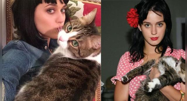 Katy Perry se encuentra triste por la muerte de su gata “Kitty Purry ...