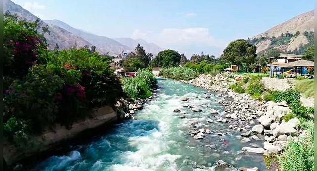 Coronavirus: Ministerio de Agricultura y Riego resalta recuperación del ...