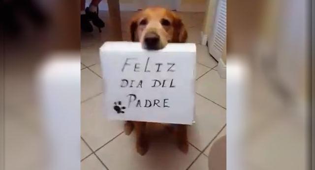 Día del Padre 2020: Perro se hace viral en Twitter por saludar a su ...