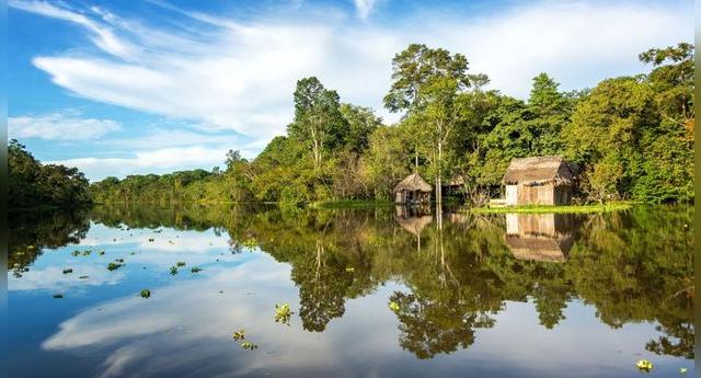 Conoce las 8 regiones naturales del Perú: Región Selva alta o Rupa rupa ...