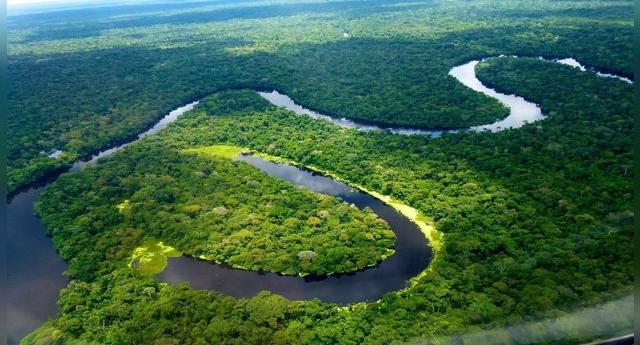 Conoce las 8 regiones naturales del Perú: Selva baja u Omagua | El Popular