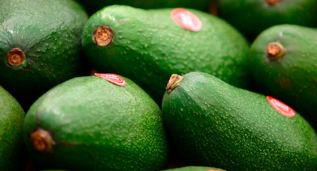 Precio de la palta se eleva por las nubes y cuesta más de S/ 12 en los ...