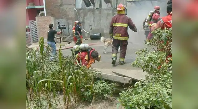 Ardieron a lo bonzo: 4 bomberos sufrieron graves quemaduras en incendio ...
