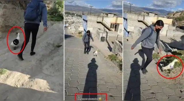 TikTok video viral: captan a joven regresando de sus clases de inglés ...