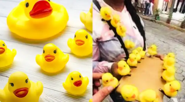 Centro de Lima: Comerciantes hacen su diciembre con la venta de patitos ...