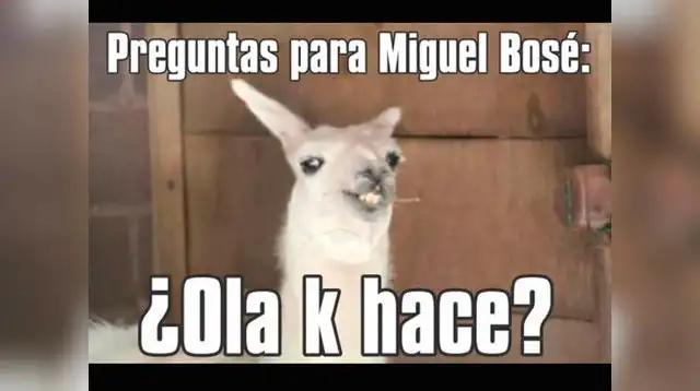 Miguel Bosé protagoniza jocosos memes tras cuadrar a periodistas | El ...
