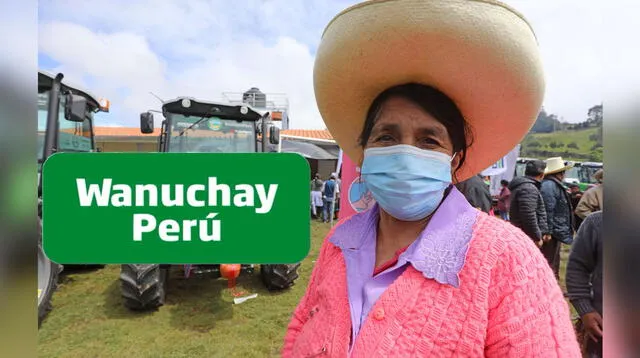 Bono Wanuchay 350 Soles Este Es El Link Oficial De Consulta Solo Con