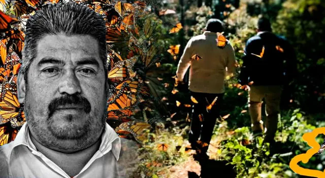 ¿Qué pasó con Homero Gómez? ‘El guardián de las mariposas monarcas’ en ...