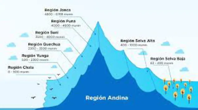 Conoce las 8 regiones del Perú: Yungas marítima y fluvial | escolar ...