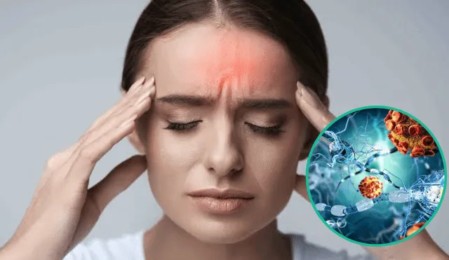 Meningitis: ¿qué es, síntomas y cómo se contagia? | El Popular
