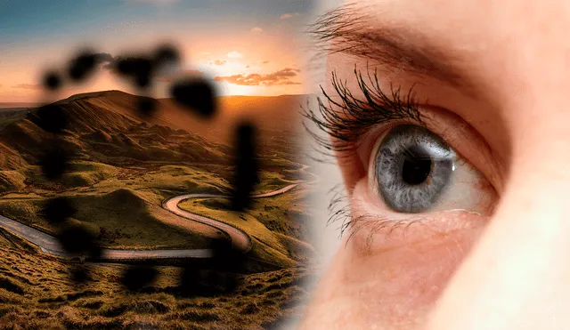 ¿Por qué se suele ver manchas negras en la vista? | El Popular