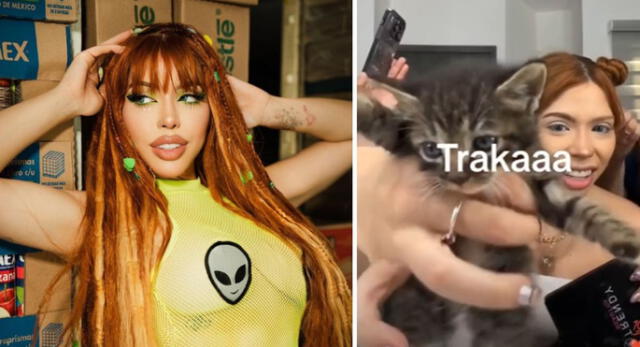 Traka significado en TikTok: de qué trata la expresión de Yeri Mua que ...