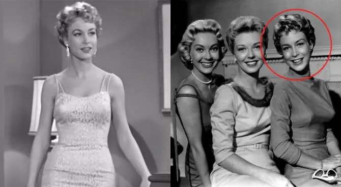 Barbara Eden antes y después: cómo evolucionó a través de los años ...